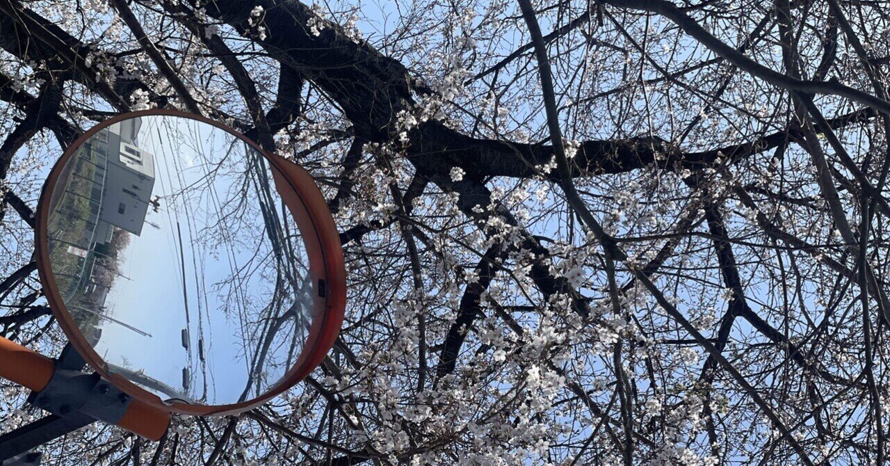 アンパンマンになりたい｜Mayuko Wada