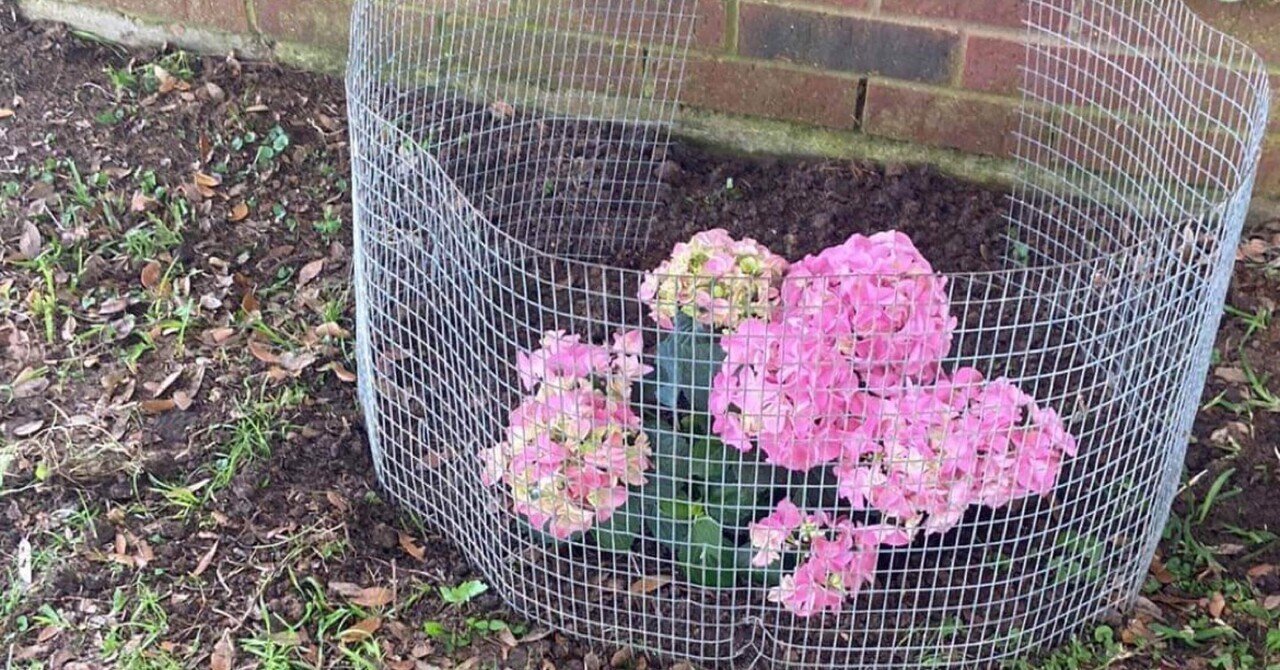 4年ぶりの里帰り 番外編 ｜Terakoya Kamei