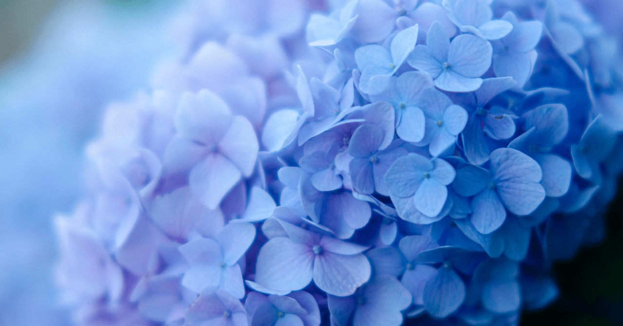 【詩】 Morgen Juni｜りすこ / Yumura Risu