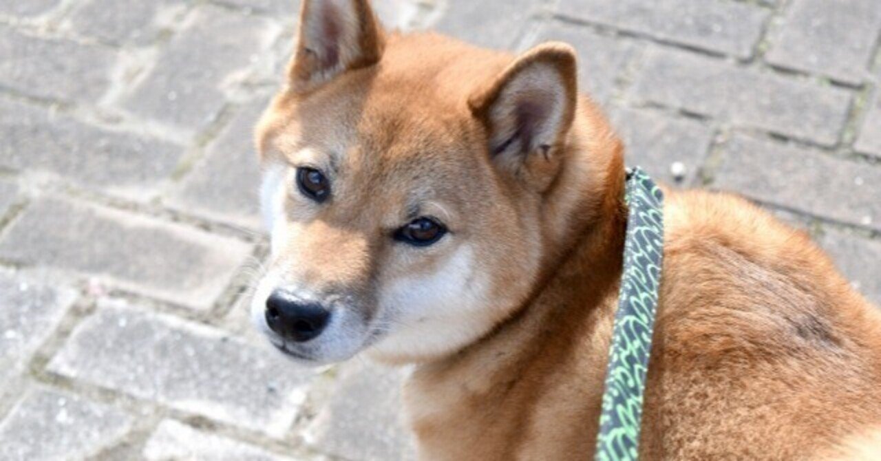 【FX】相場の振り返りとは｜roka/FXトレーダー