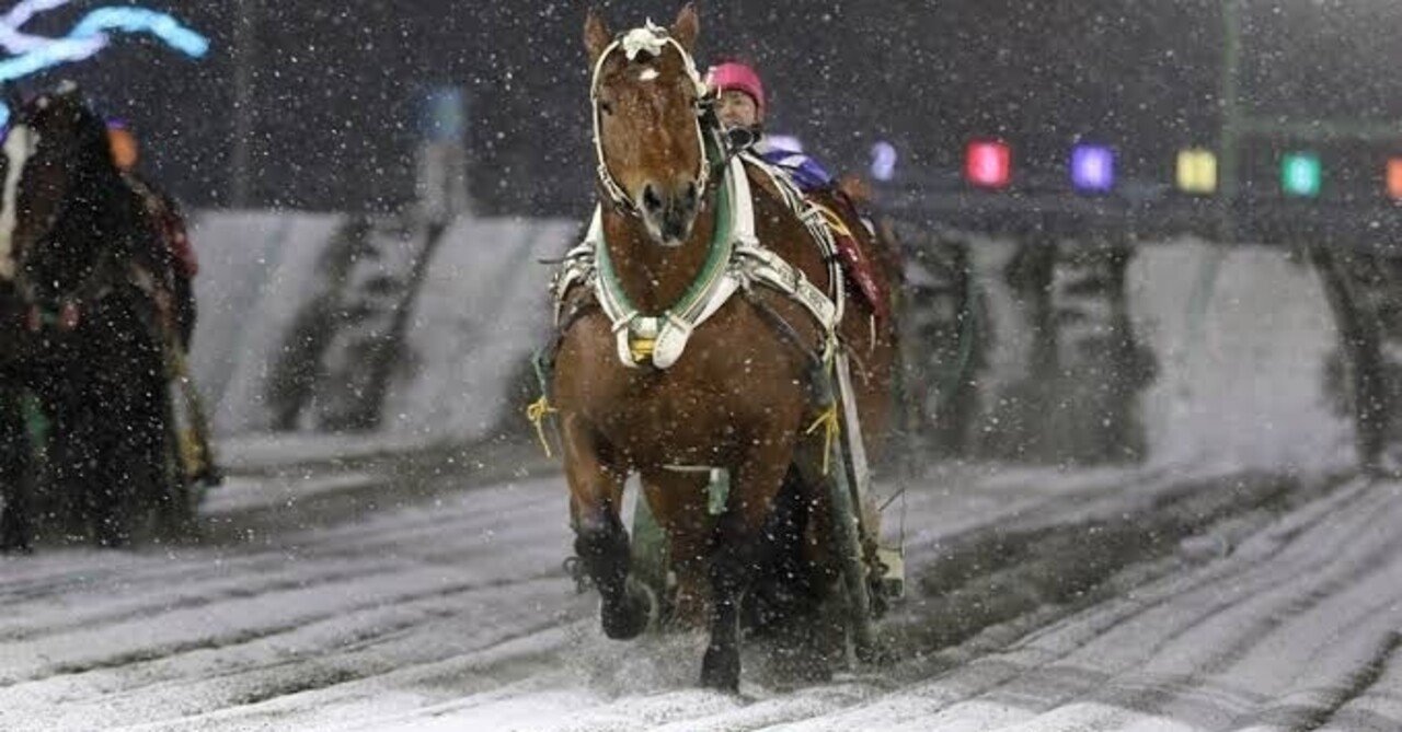 #帯広8R 18:23締切👑👑必至の稽古してきた証🏇👑👑👑｜ばんえい競馬専門🧧極
