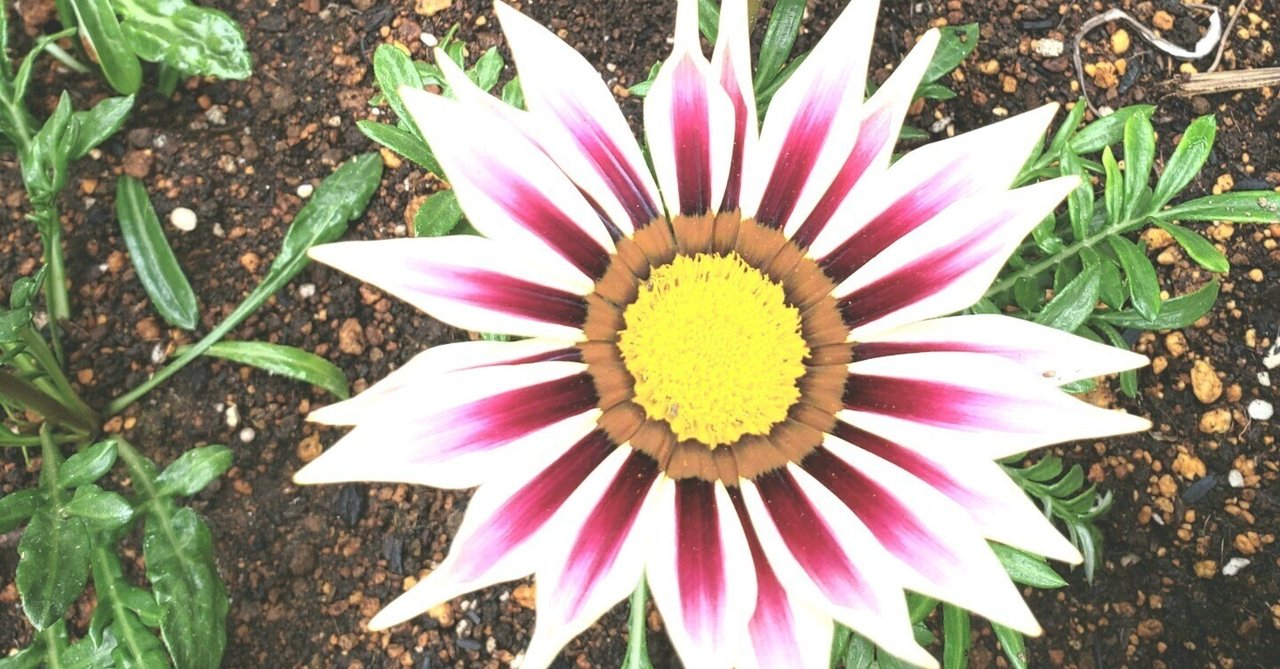 やるだけ｜YOSUKEOTSUKA 大塚陽介