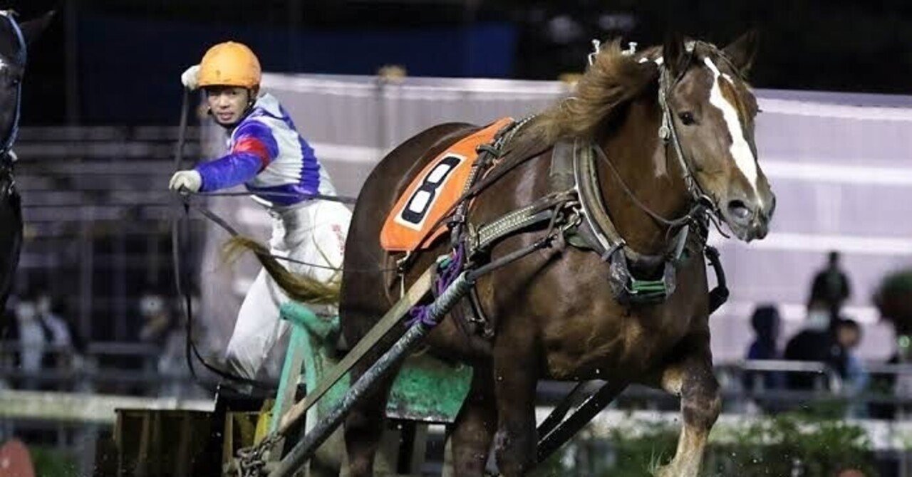 帯広11r 2008締切👑👑メイン大爆破🧨🧨🧨凄まじい配当 ｜ばんえい競馬専門🧧極