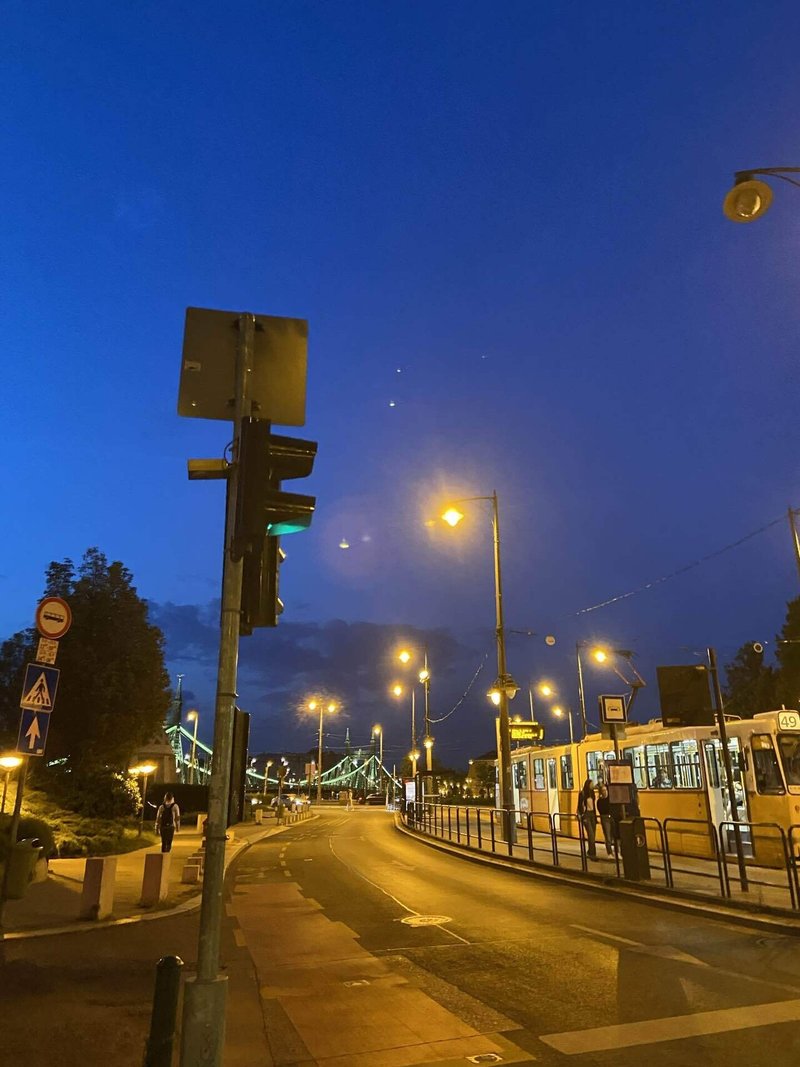 Night in Buda. A different attraction from the Seine. Reminiscent of ...