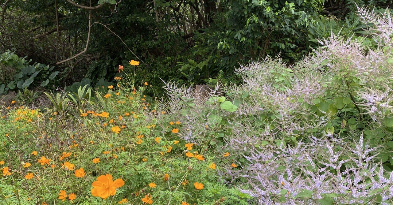 【キュレーターの役割｜琉球新報 落ち穂⑧ 2020年10月27日掲載】｜Naoko Uchima