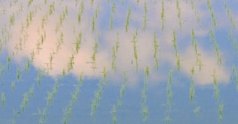 decoboco_mama｜note