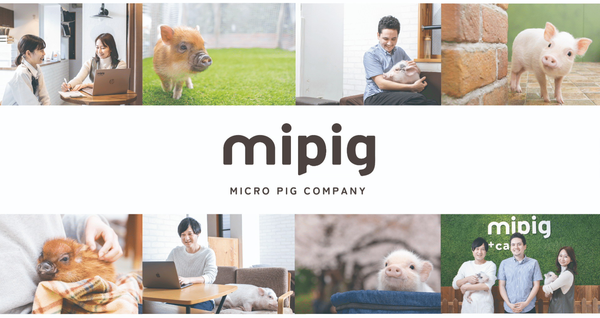 mipig（マイピッグ）公式アカウント｜note