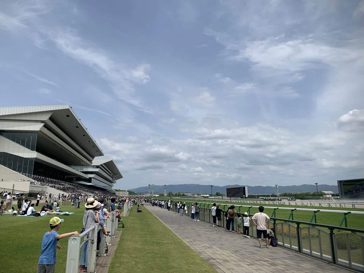 Guide to Horse Racecourse in Japan: Kyoto Racecourse / 京都競馬場｜小和田 逸平
