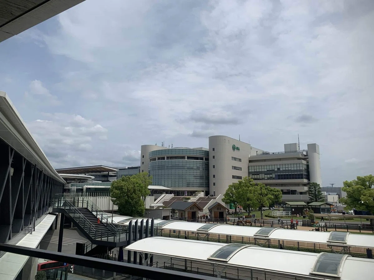 Guide to Horse Racecourse in Japan: Kyoto Racecourse / 京都競馬場｜小和田 逸平