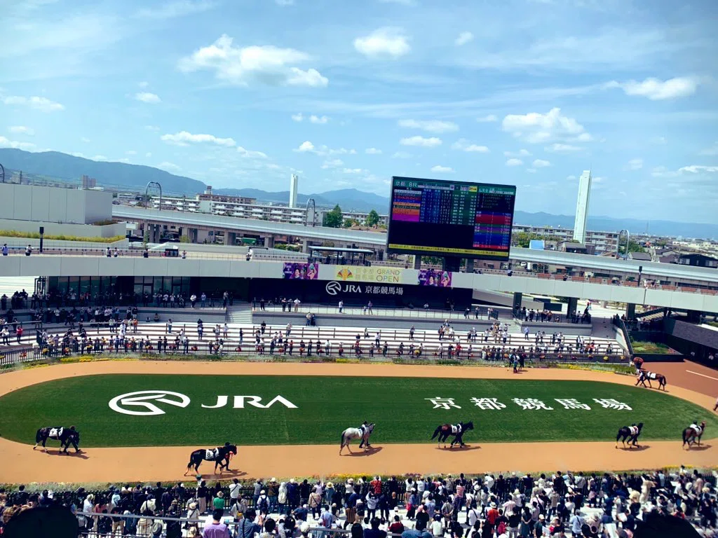 Guide to Horse Racecourse in Japan: Kyoto Racecourse / 京都競馬場｜小和田 逸平