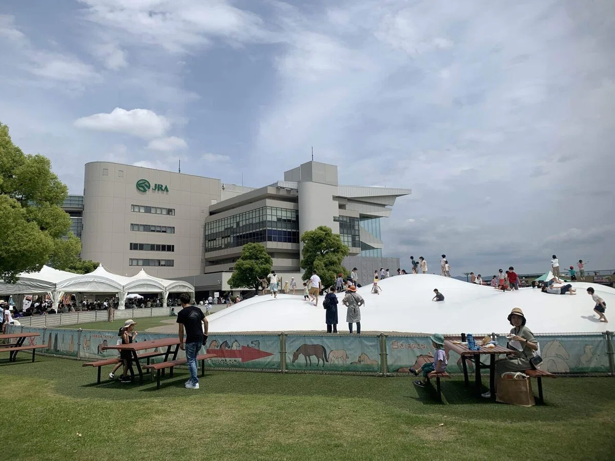 Guide to Horse Racecourse in Japan: Kyoto Racecourse / 京都競馬場｜小和田 逸平
