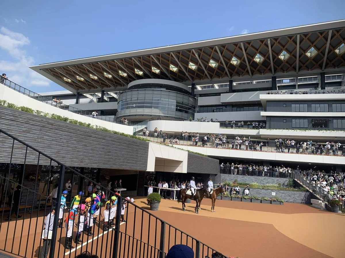 Guide to Horse Racecourse in Japan: Kyoto Racecourse / 京都競馬場｜小和田 逸平