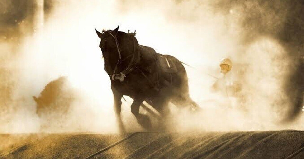 帯広1r 1433締切👑👑伝説の幕開け👑👑｜帯広ばんえい競馬予想専門🧧極