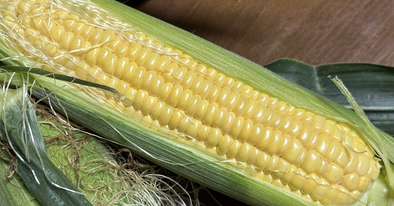 2023とうもろこし(6) 初荷｜NicePapa 平野 尚志