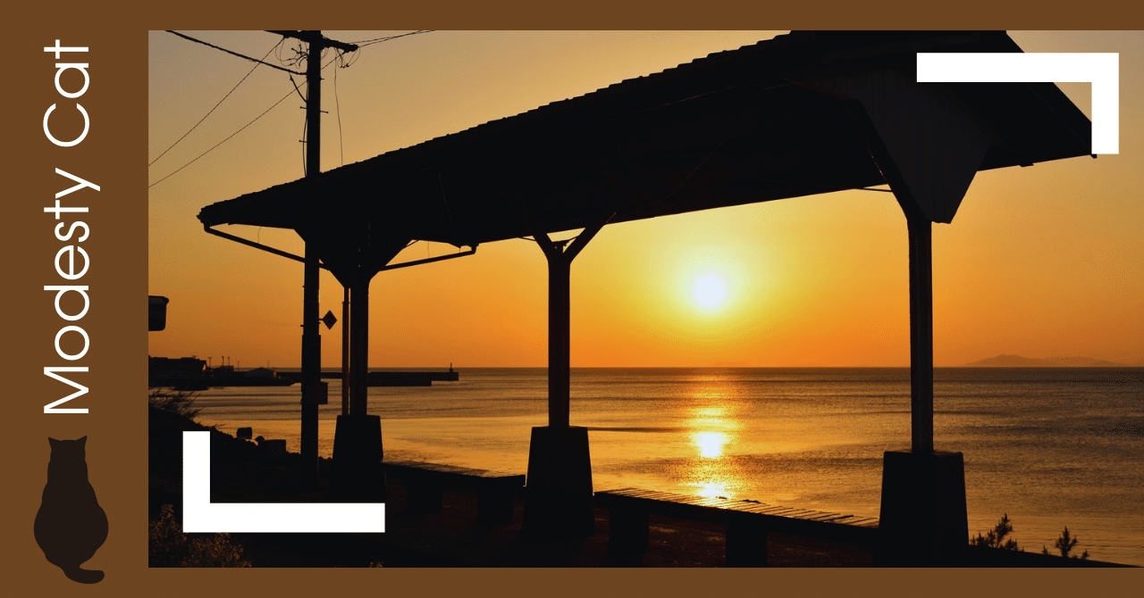 Modesty Cat｜朝比奈 実