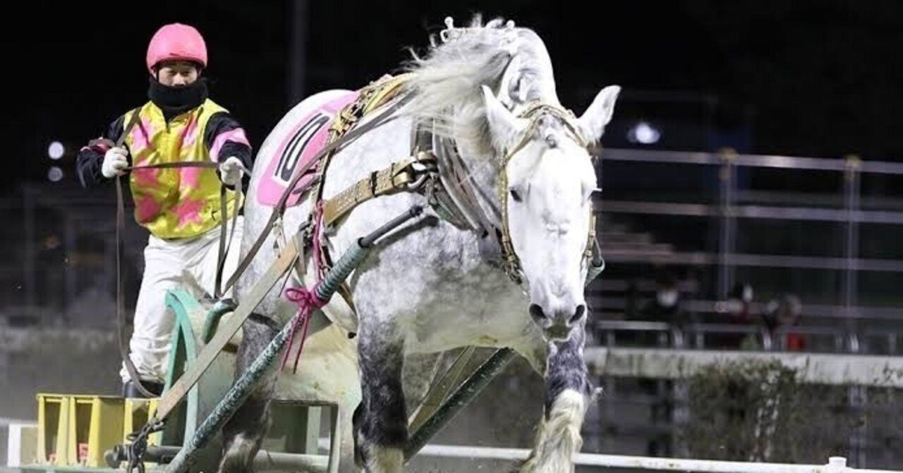 帯広12r 2043締切👑👑天誅馬券👑👑帯広最高🔥🔥｜帯広ばんえい競馬予想専門🧧極