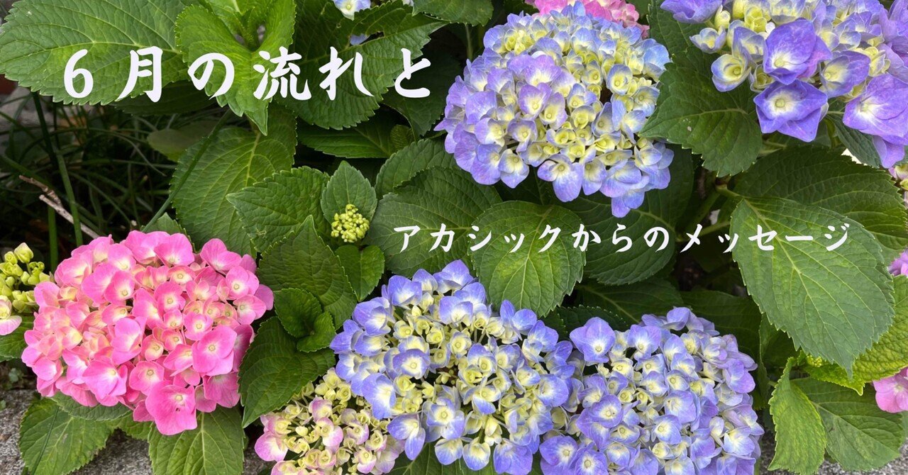 2023年6月 あなたの流れ｜masayo
