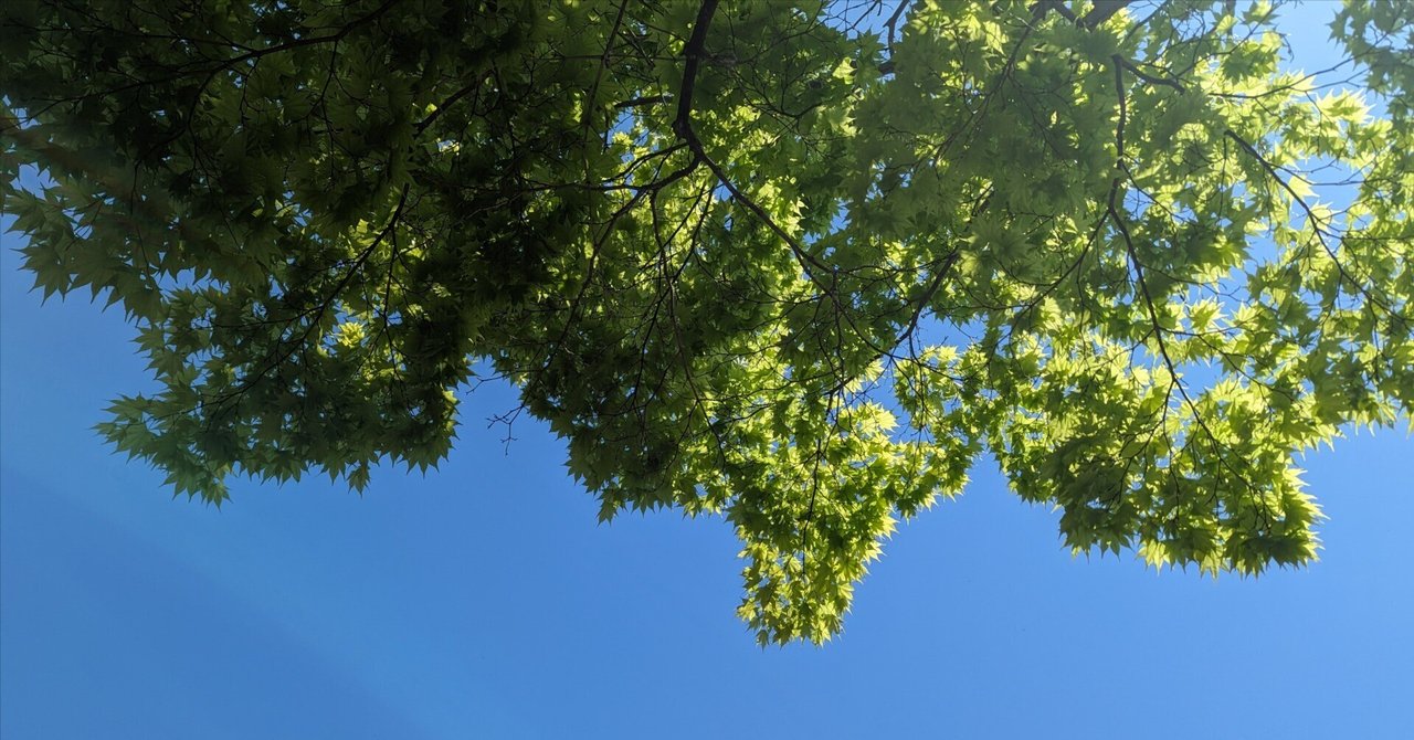 TypeScript 入門の記録（55）プロを目指す人のためのTypeScript入門（39）変数スコープと関数｜jnkykn