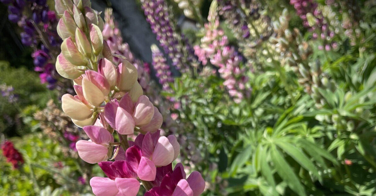 想い人 《詩》｜seiji_arita