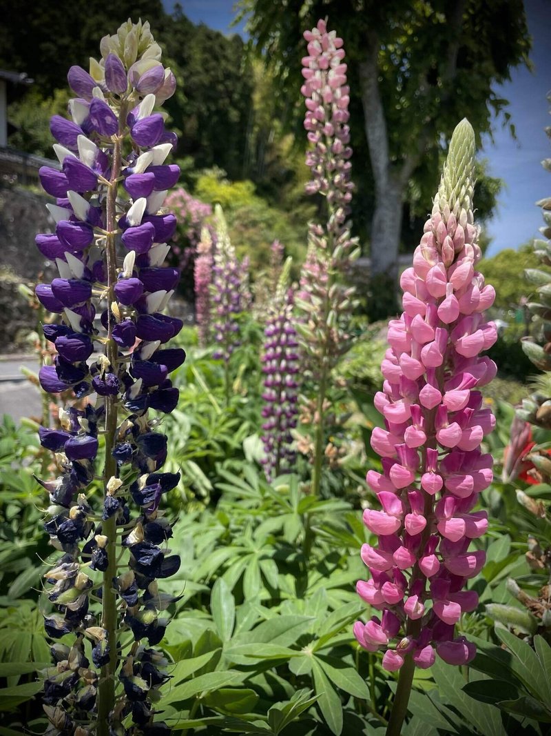 想い人 《詩》｜seiji_arita