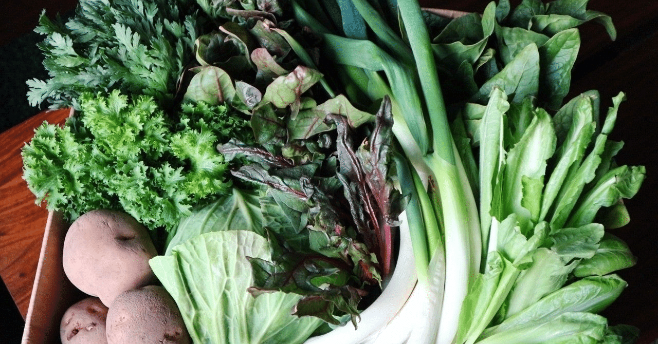 食との向き合い方｜Jun Sasai （笹井淳）