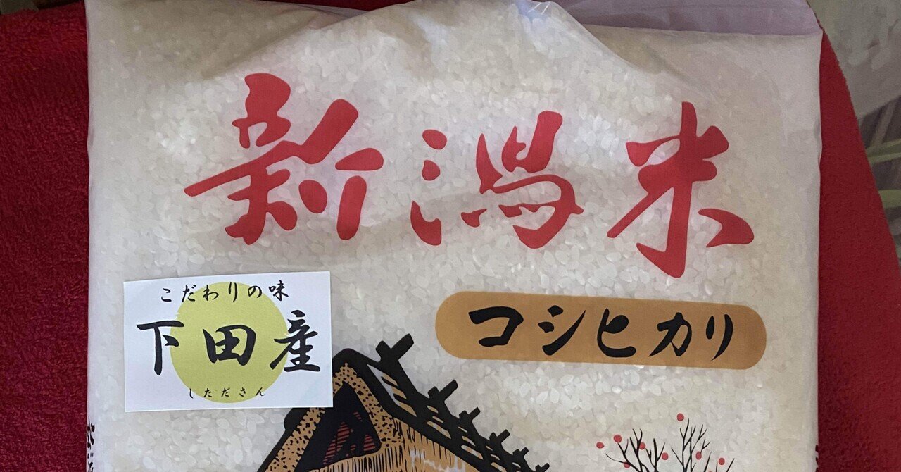 JBCF弥彦ロードレースE1/2【23位】｜しーま