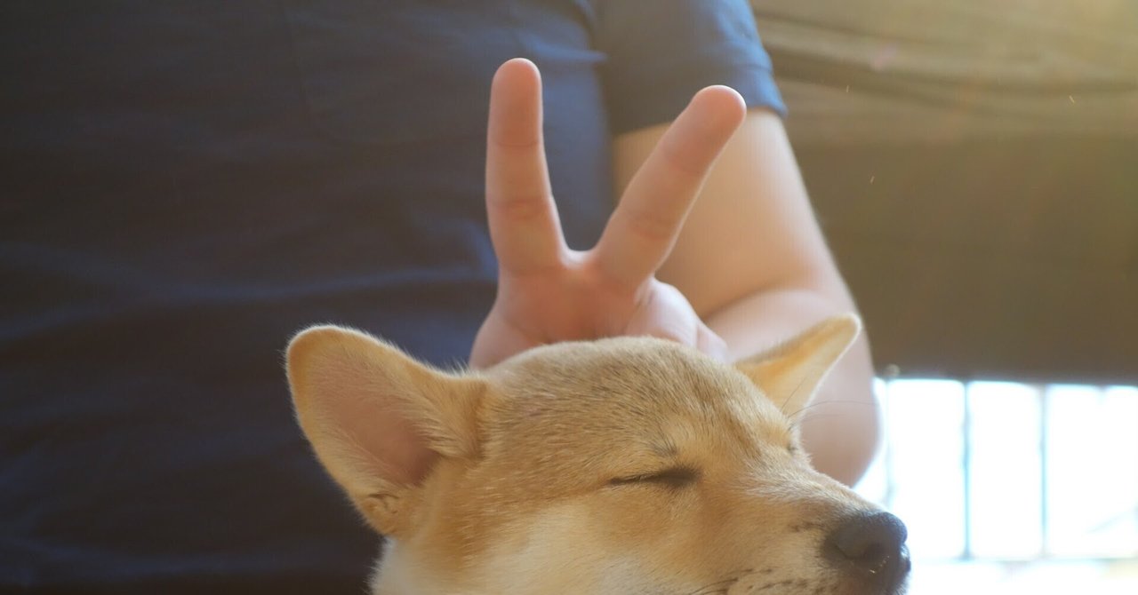 ChatGPT-4に新しい課題を与えた｜KY研究所@CoderDojo横浜港北ニュータウンやってます