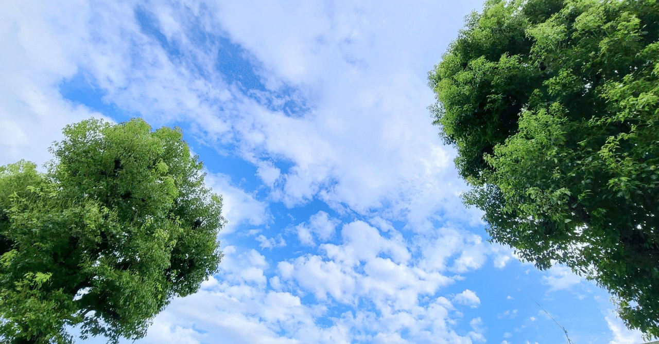 青い春夜風 07｜風木 愁 -Syu Kazaki-