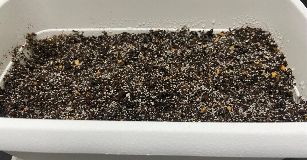 種まき完了。｜arinco_house202