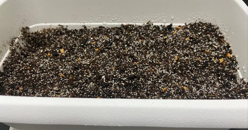 種まき完了。｜arinco_house202