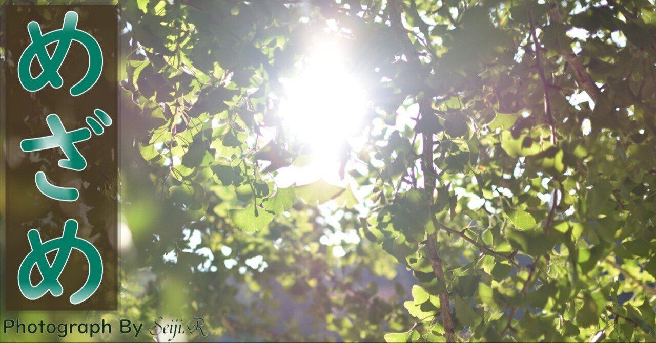 めざめ｜Seiji.Resonance