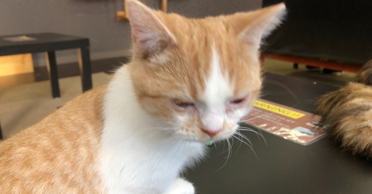 ふと・・・思う｜poporin