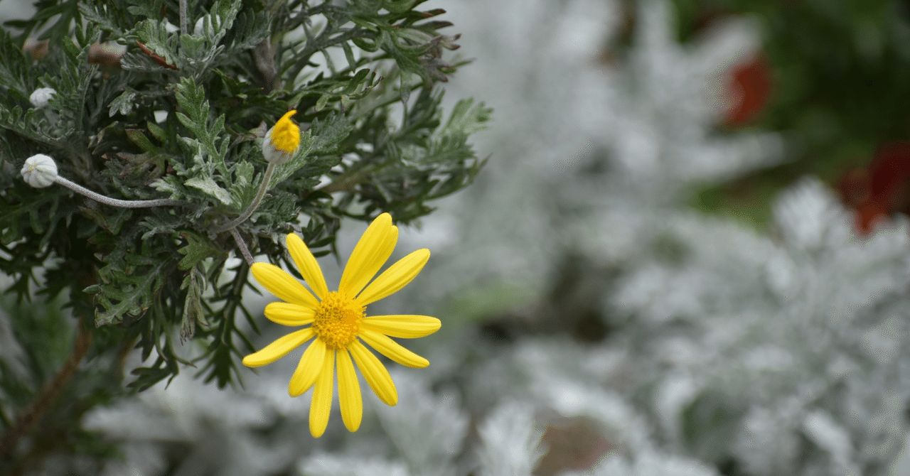 自分を楽にしてくれるのは、誰？｜Reiko Hara/アロマ音叉®️セラピスト