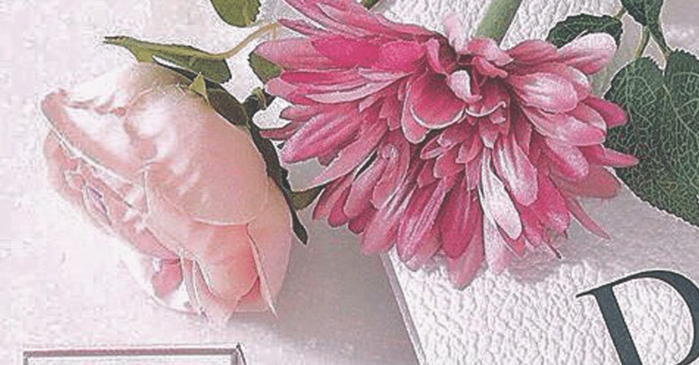 🎈Lizu Risa🧸｜note