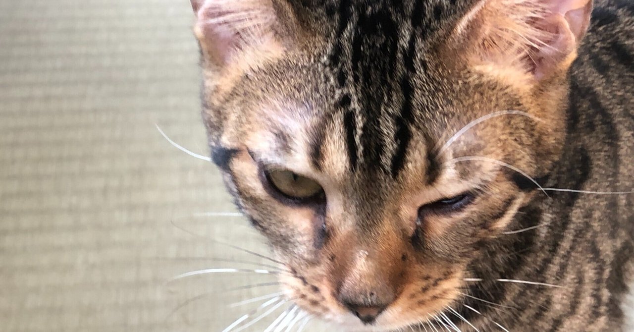 ふと・・・思う｜poporin