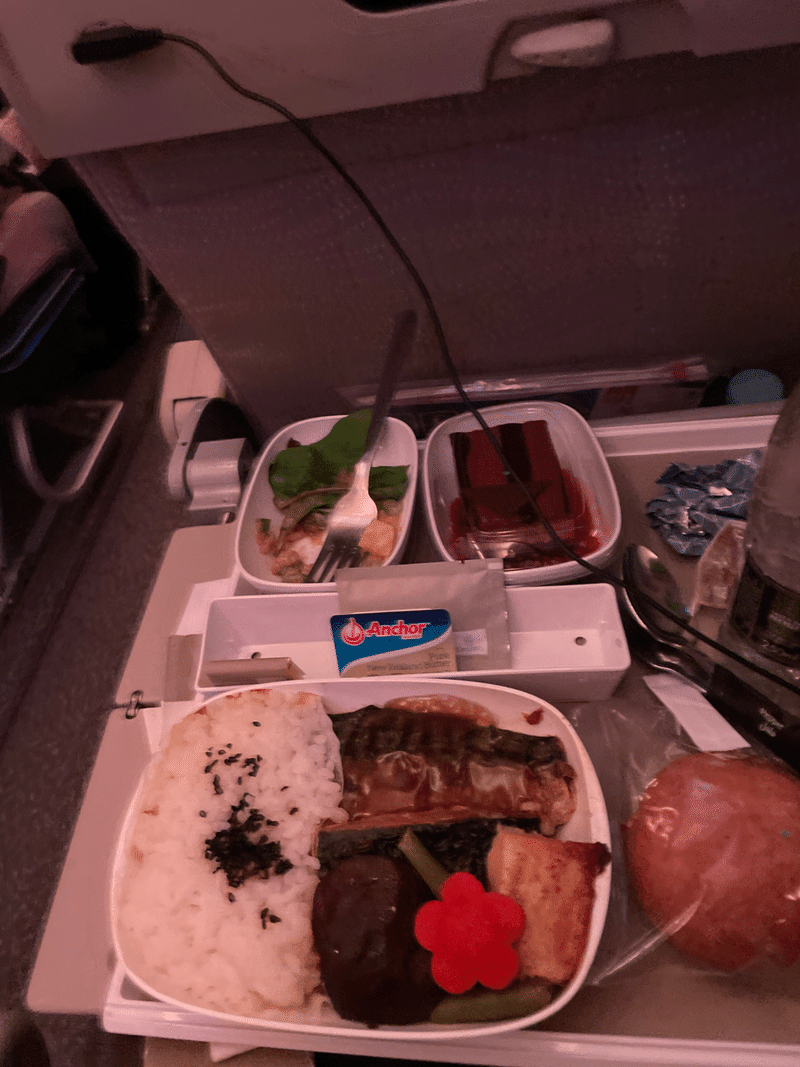 イタリア旅行#1｜koki@earth