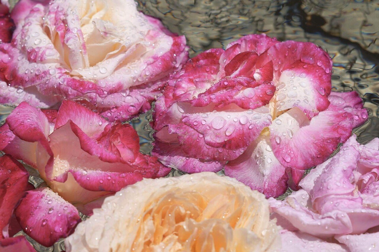 INOUE Tomohiro｜note