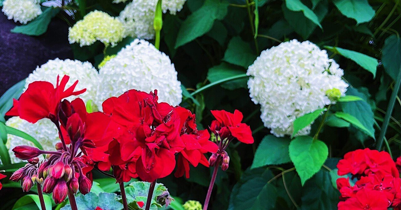 台風さん｜prankish/Tomo