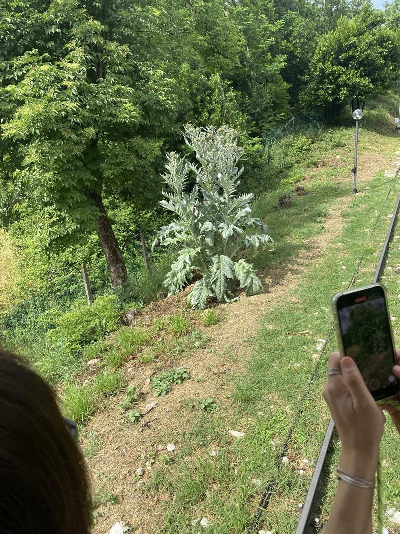 イタリア滞在239日目｜城 拓 / Hiroshi Jo