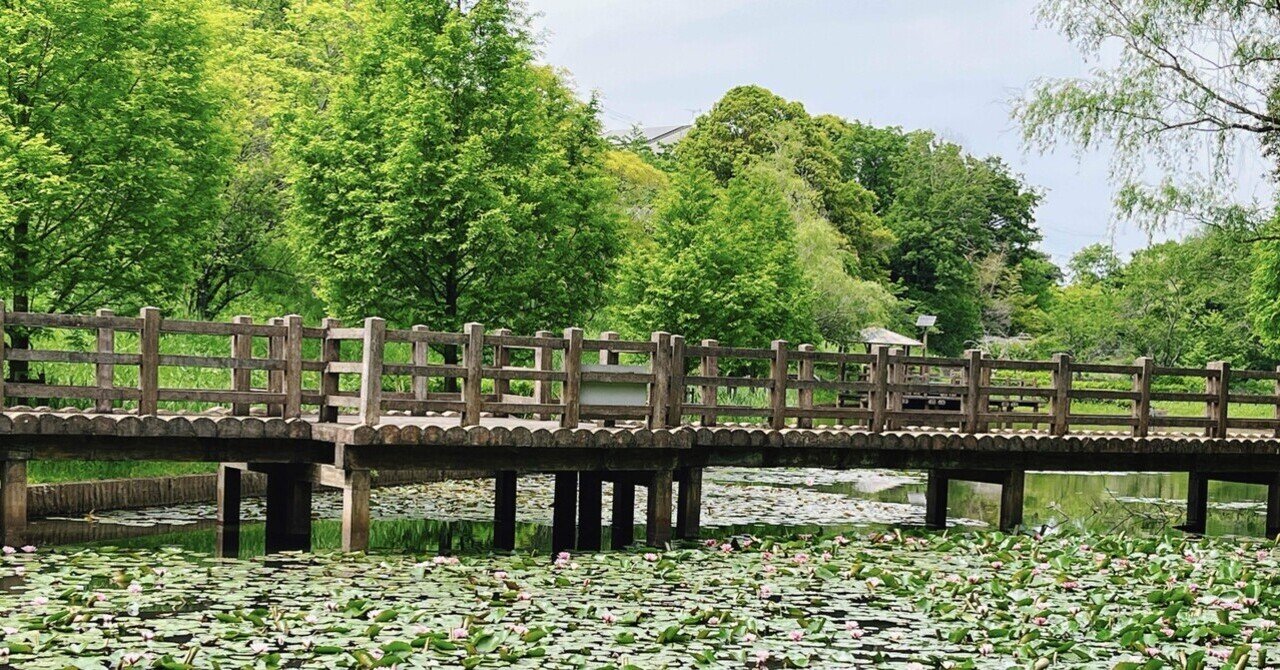 2023年5月に読んだ本｜yuyu_0707