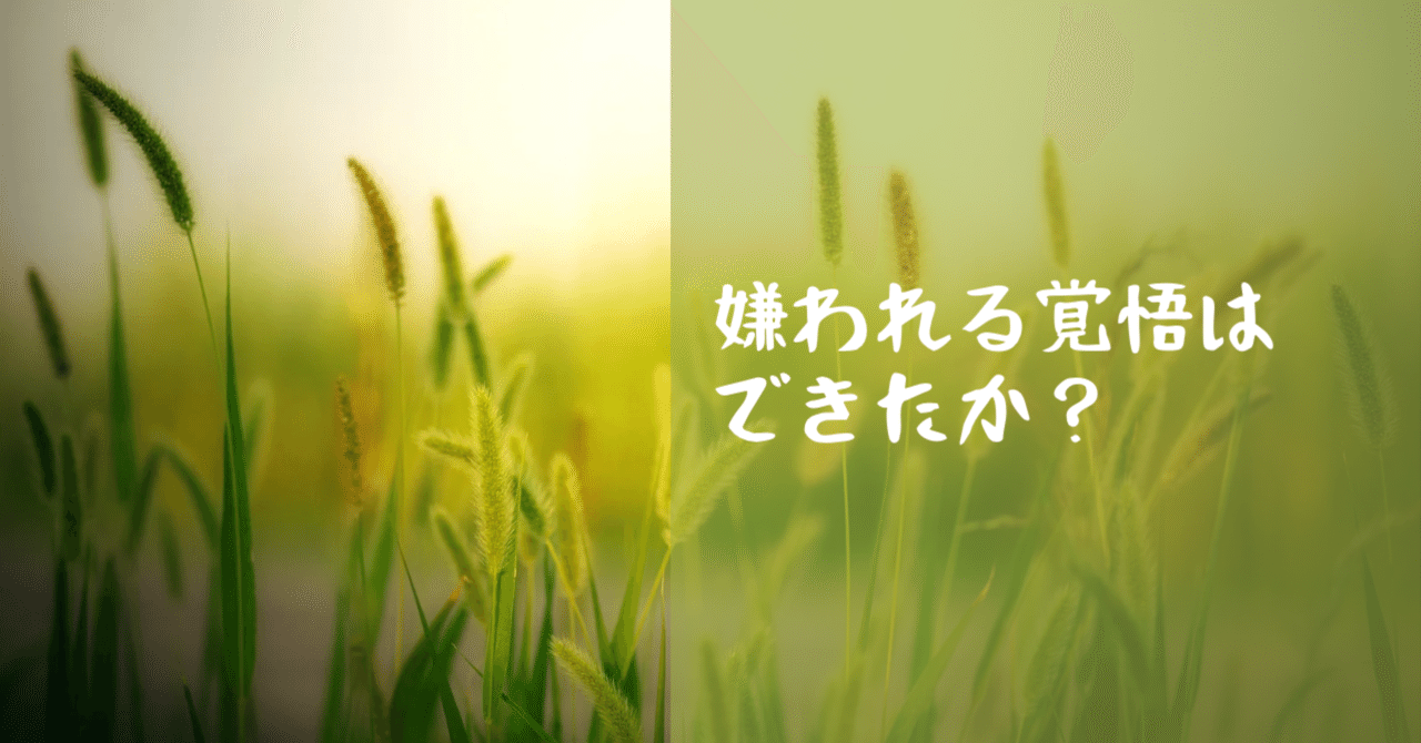 嫌われる覚悟はできたか？｜nachi