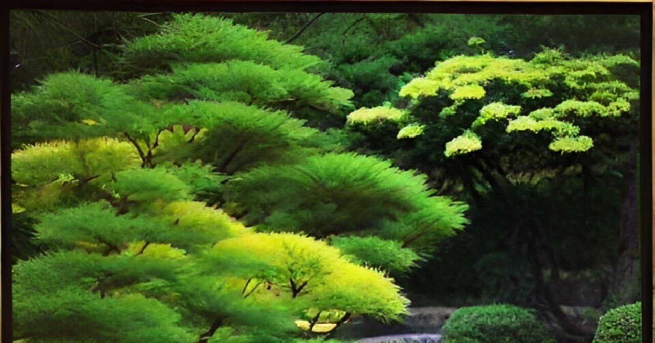 歌詞135｜shshshsh katoto