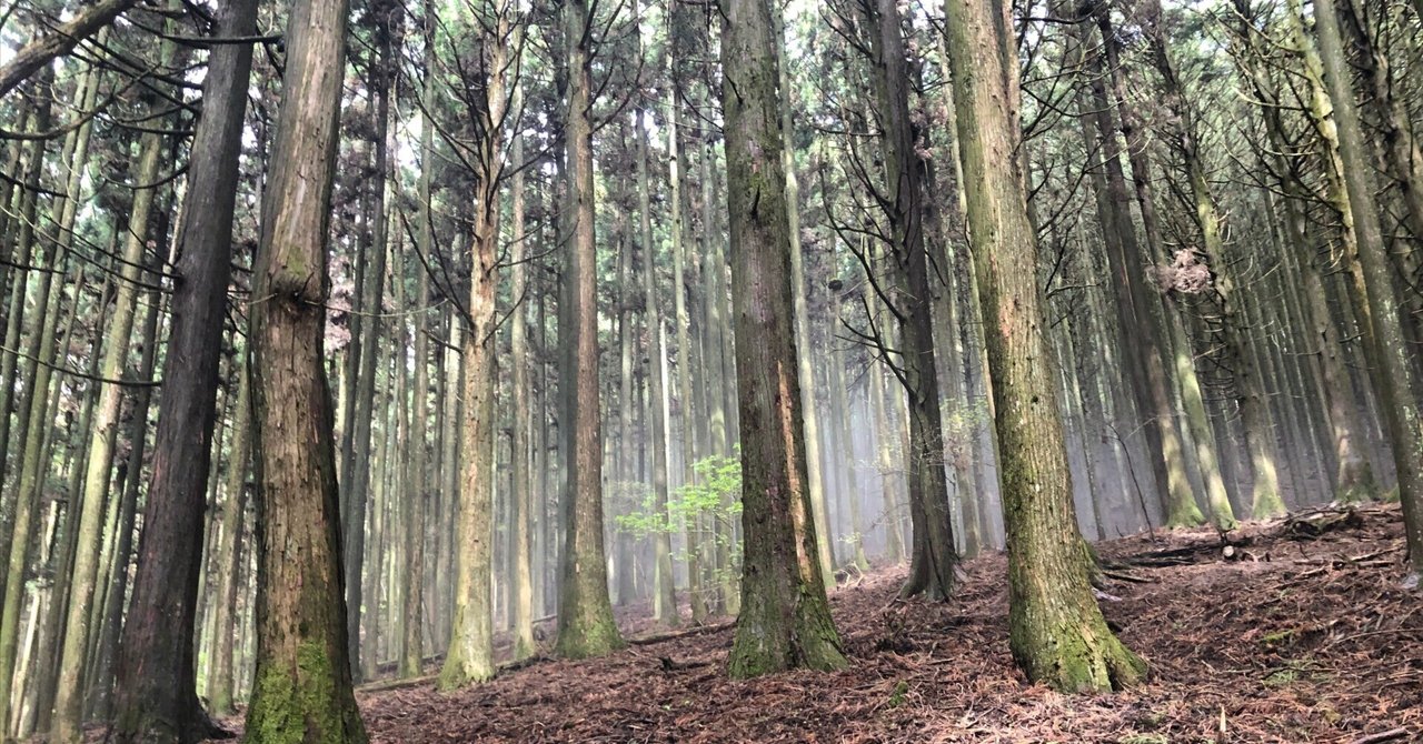 寝坊という自然｜Noro Daiki