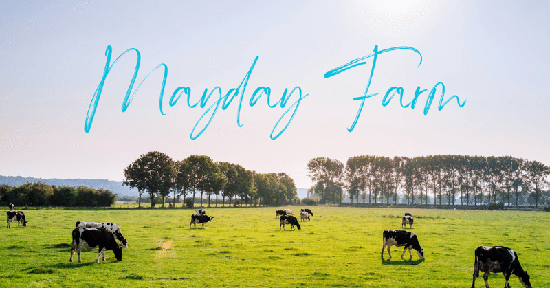 ニューイングランドの牧場 Mayday Farm｜Monkey Gardener/世界の農家と農法