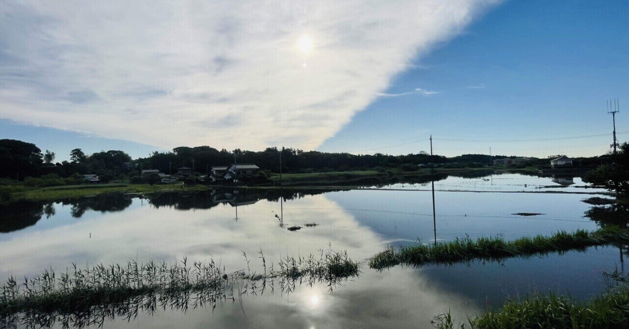 【詩】酔-水.鏡-狂｜風木 愁 -Syu Kazaki-