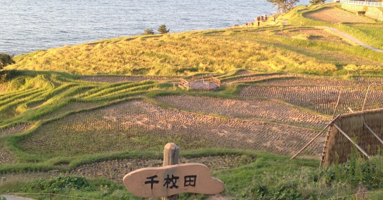 古沢広祐（Furusawa Koyu）｜note