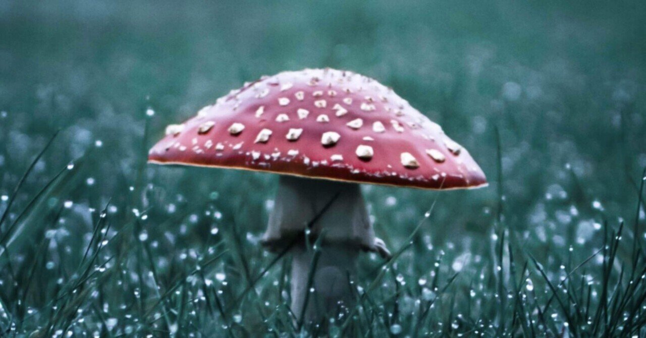 ついに、週刊「しいたけ占い」が終わってしまった｜Izumi