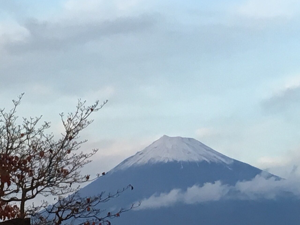 『おはようnote☘️6/6』 おはよう御座います 今日も始まりましたね🌸 今日も一日気をつけて、 いってらっしゃい😆｜Ryosuke Matsusima