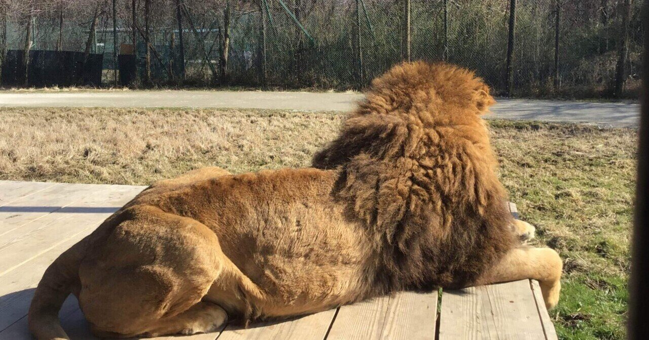 2023.6.5(月)日記を通して見る己｜春来 | haruki