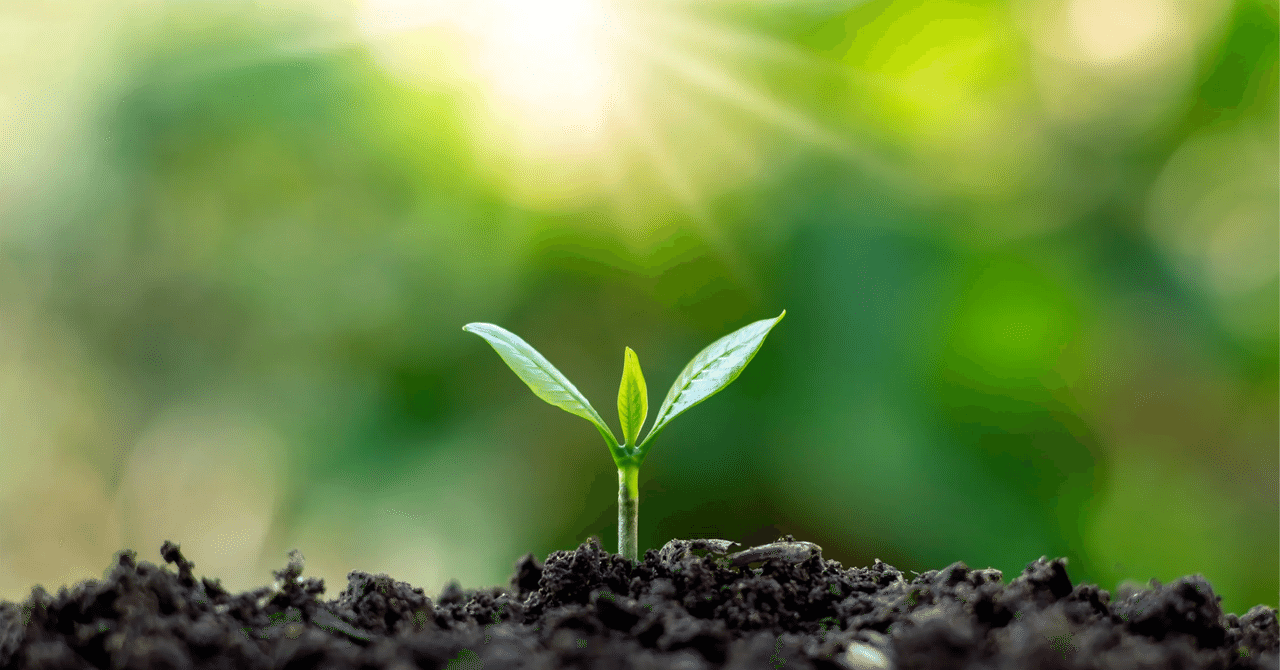 kumi｜ｱﾛﾏｾﾗﾋﾟｽﾄ&ﾗｲﾀｰ｜note